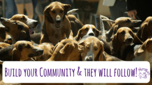 If you build it, they will follow | Your Biz Watchdog